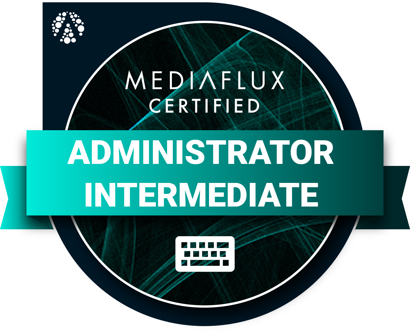 Mediaflux Administrator Master Certification Mediaflux Administrator Master Certification